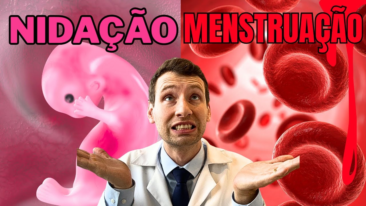 APRENDA: NIDAÇÃO ou MENSTRUAÇÃO? Como Diferenciar o Sangramento - YouTube