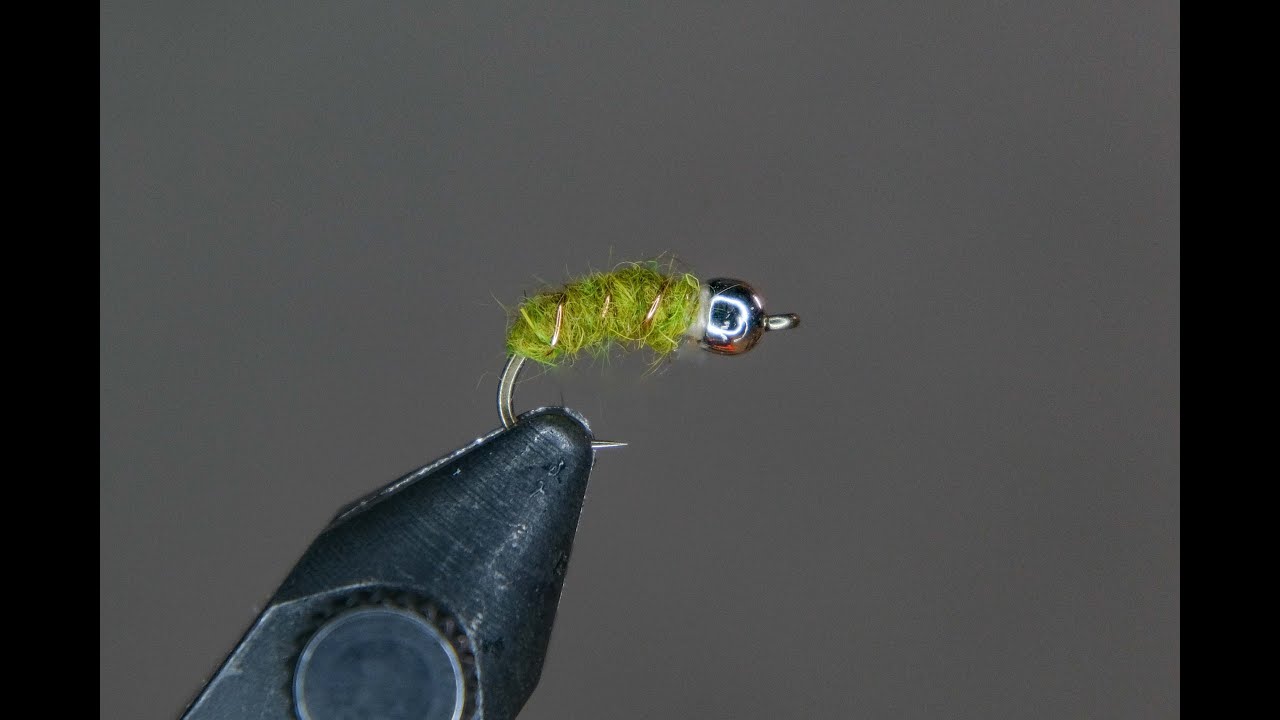 Wapsi Bead Headed Caddis Larva fly tying - YouTube