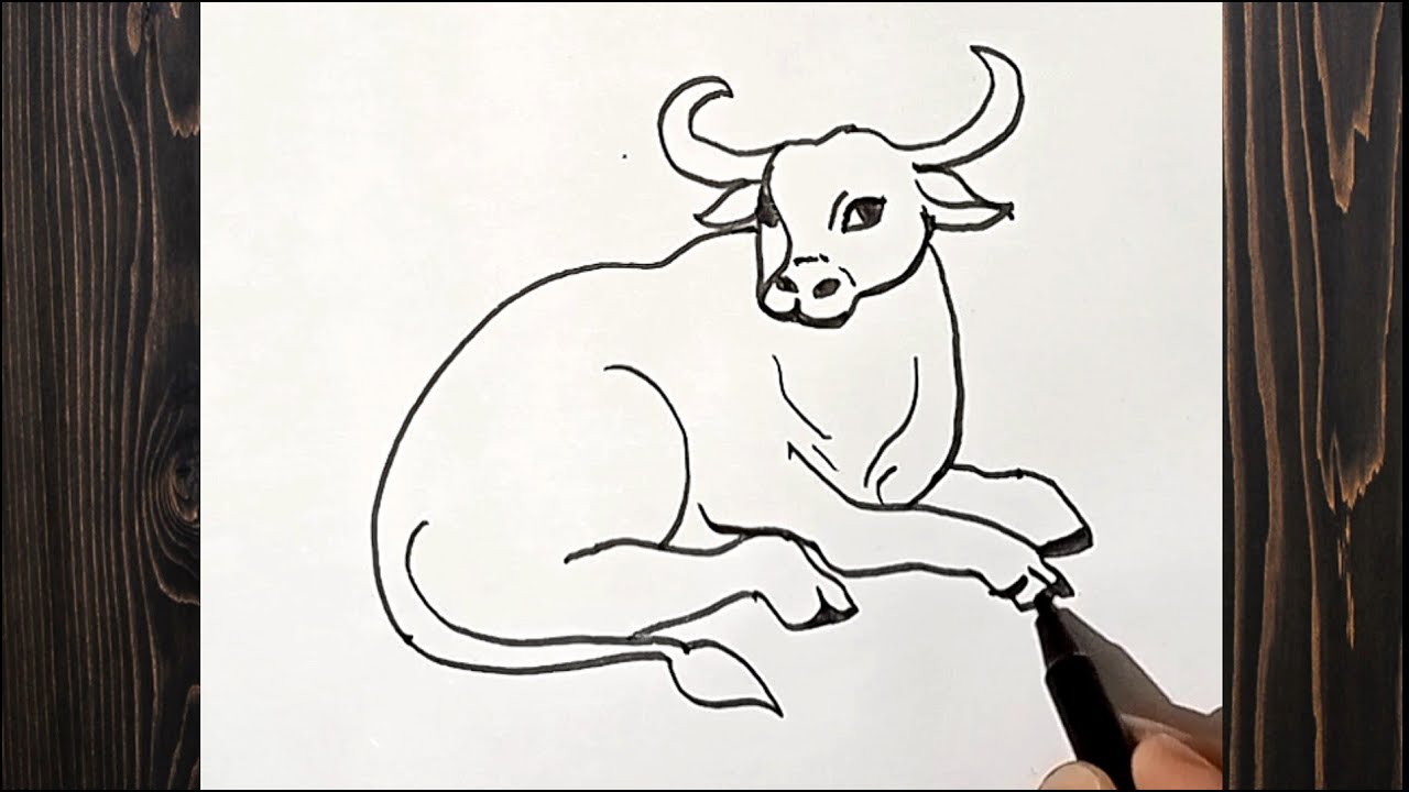 ox drawing || How to draw a ox || Easy ox drawing || ox rangoli - YouTube