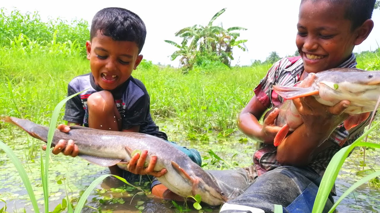 Yes!! Amazing Boy Catches Big Catfish in Muddy Water Pond | Hand ...