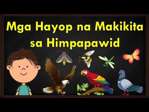 Mga Hayop na Makikita sa Himpapawid (Flying Animals) - YouTube