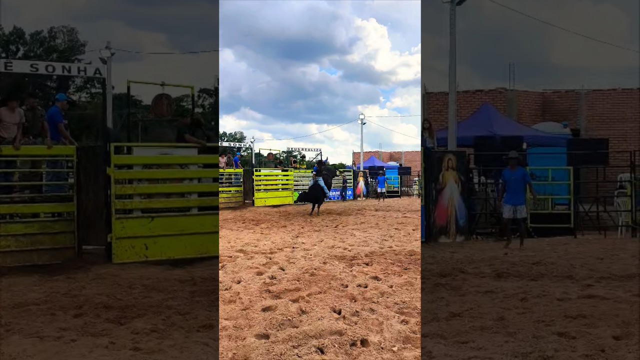 Dia de treino (Garrote Cafundó) Cia Agrochara #shorts - YouTube