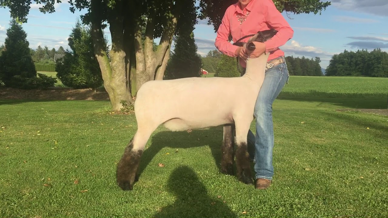 412- Lexi Amundson - YouTube