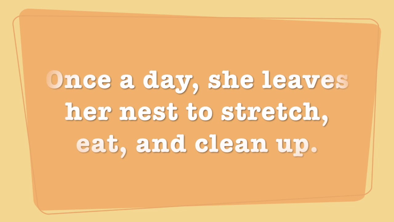 My Goose Betsy - YouTube