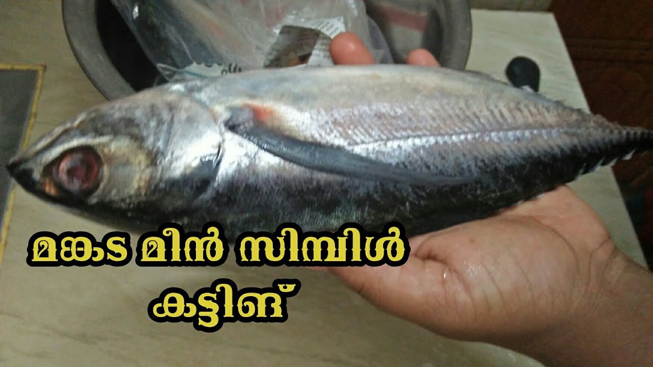 മങ്കട മീൻ സിമ്പിൾ കട്ടിങ് !How to cut mankada fish!Gopi's Lifestyle ...