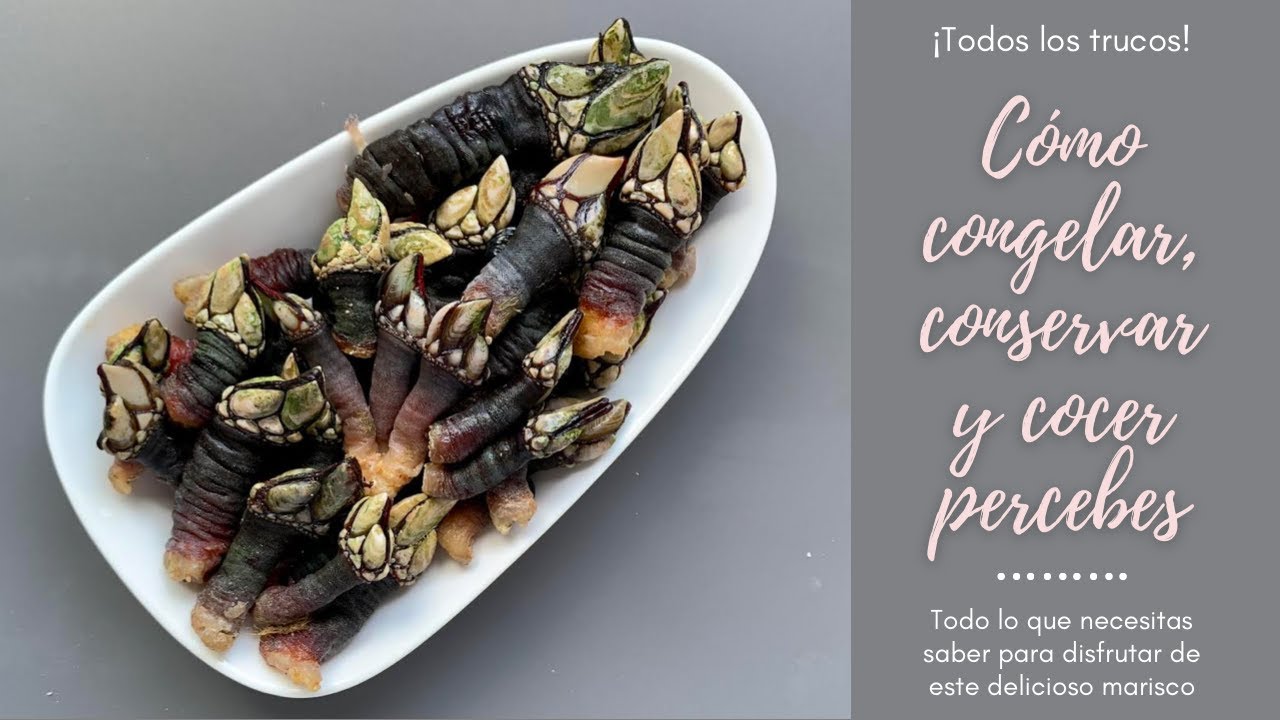 Cómo CONGELAR, CONSERVAR Y COCER PERCEBES ¡Todo lo que necesitas saber ...