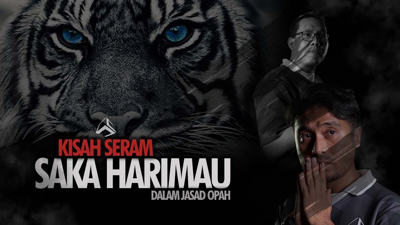 AKIBAT MEMBULI, HABIS CALAR BALAR BADAN DICAKAR HARIMAU | CHAD PART 2 ...