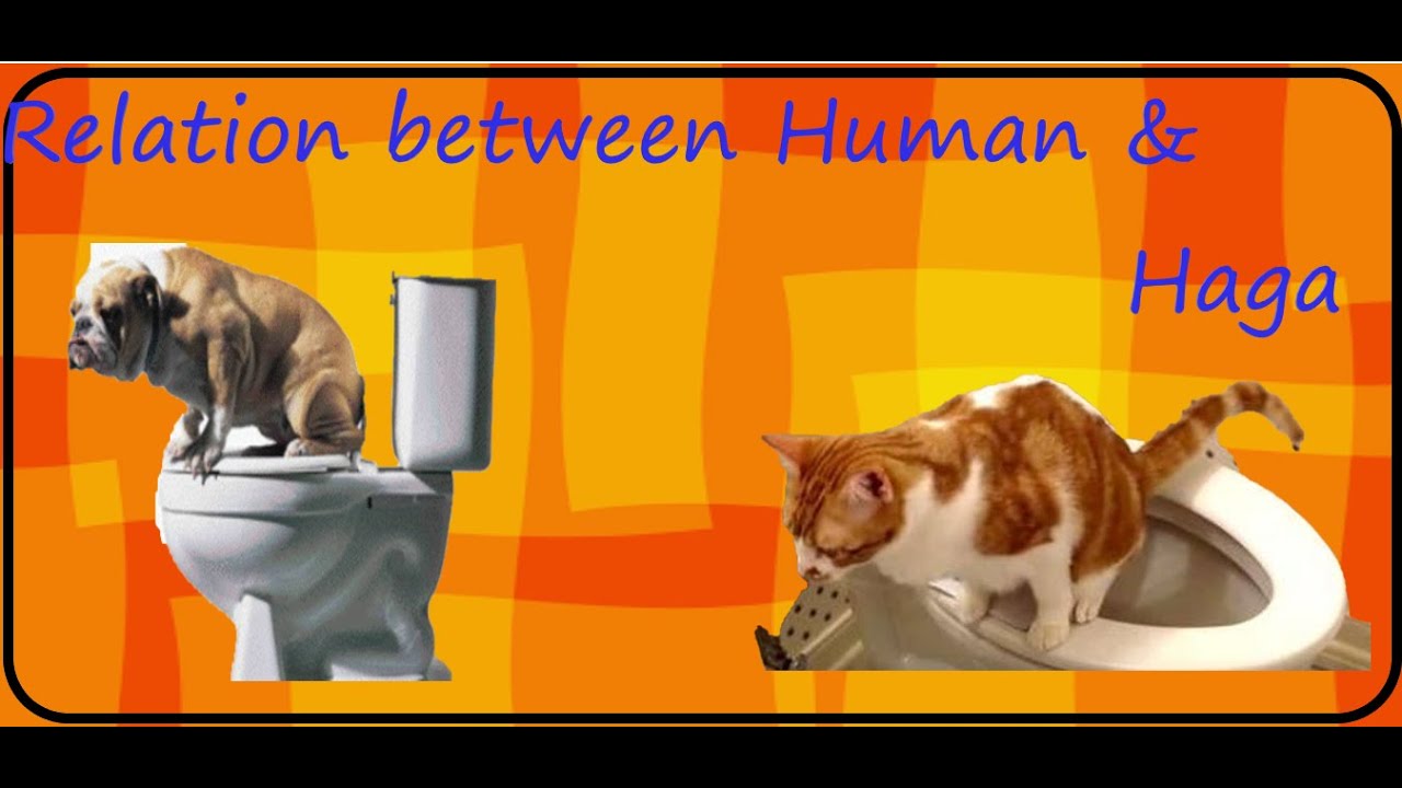Stand up comedy😁😁😁Relation between Human & Haga 😂🤣😅😄😆 - YouTube