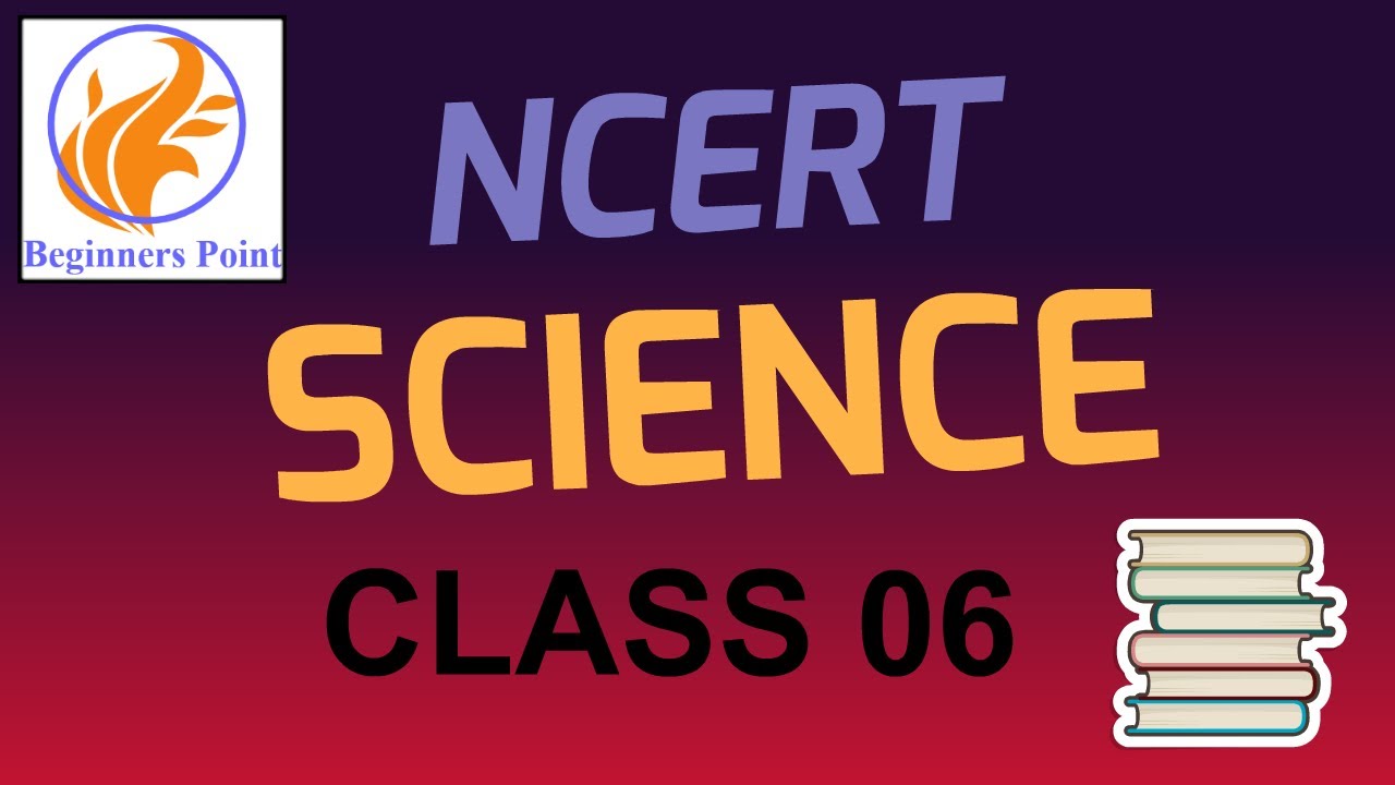 Class 6: Science (Chapter 11: Light, Shadows and Reflections) - YouTube