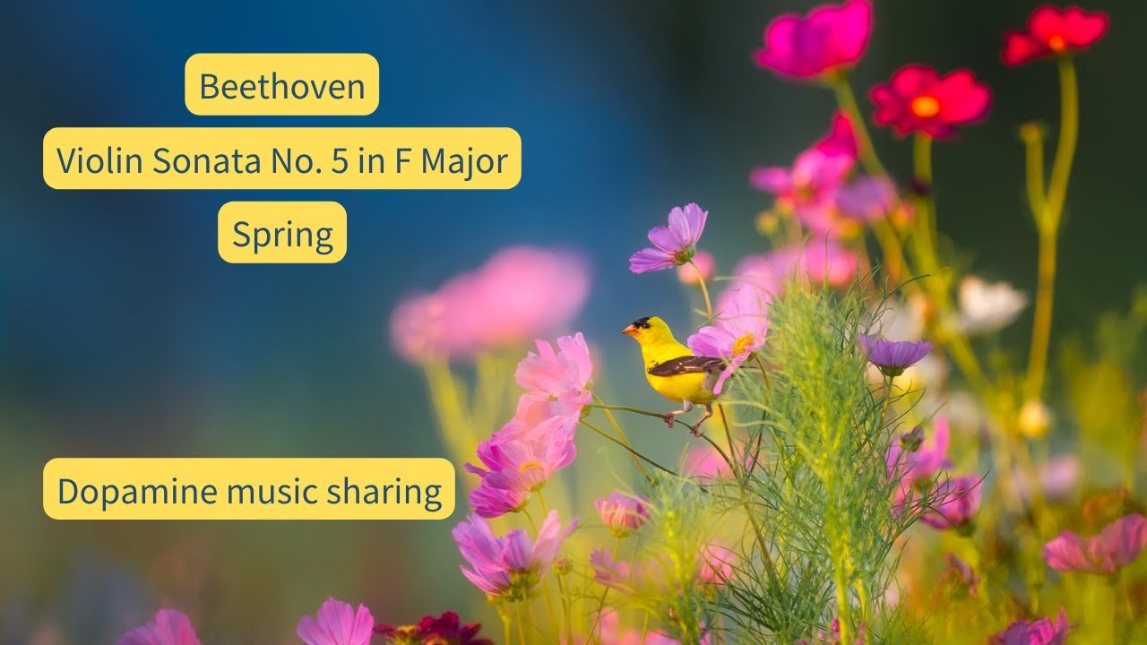 Beethoven Violin Sonata No. 5 in F Major Spring Dopamine music sharing ...