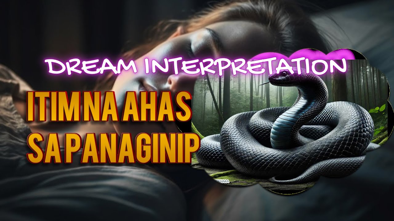 PANAGINIP: Itim na ahas na pinapaamo sa panaginip | Patnubay TV - YouTube