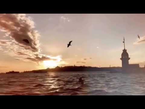 Uçmak istedim kuş olamadım