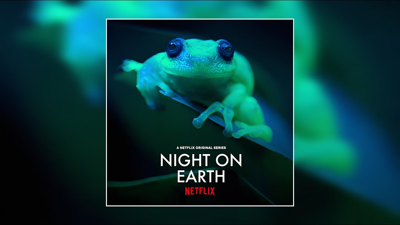 1. Night on Earth Titles (Netflix) - YouTube