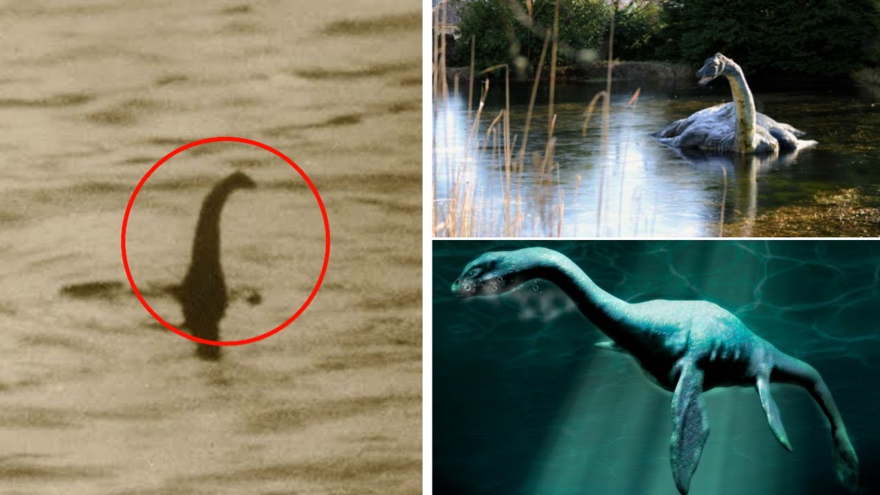 Loch Ness Monster found As Sonar Image Shows Massive Underwater ...