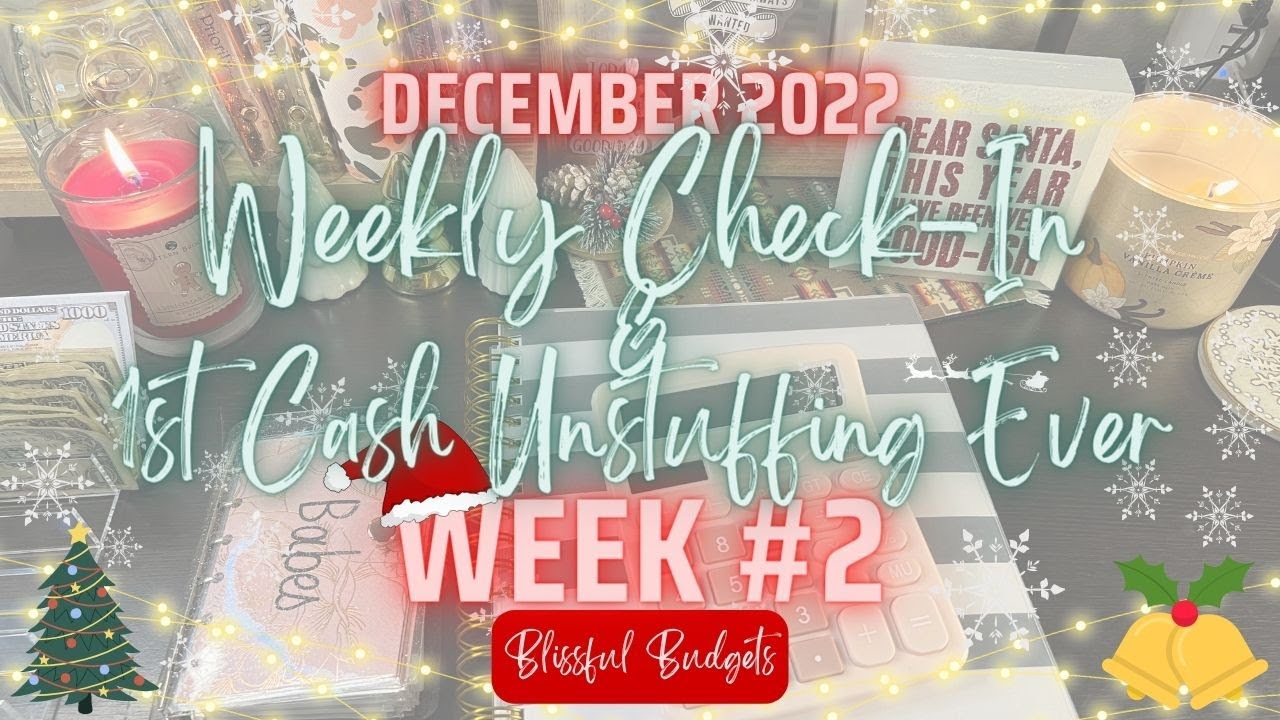 Weekly Check-In | Week #2 | December #weeklycheckin #biweeklybudget # ...