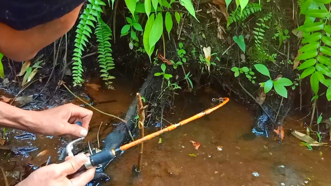 PEMANCING IKAN LEMBAT | MANCING IKAN LEMBAT DI LUBANG BAWAH TUNGGUL ...