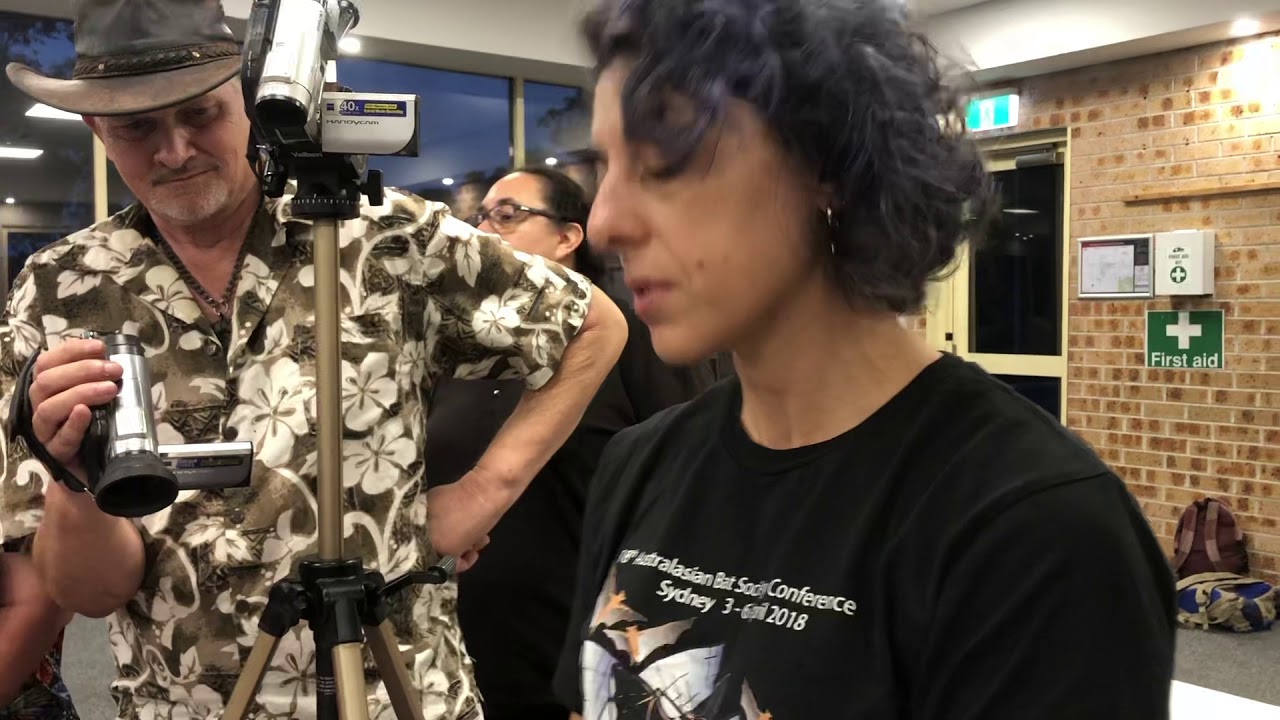 Necropsy on a Red Bellied Black Snake - YouTube