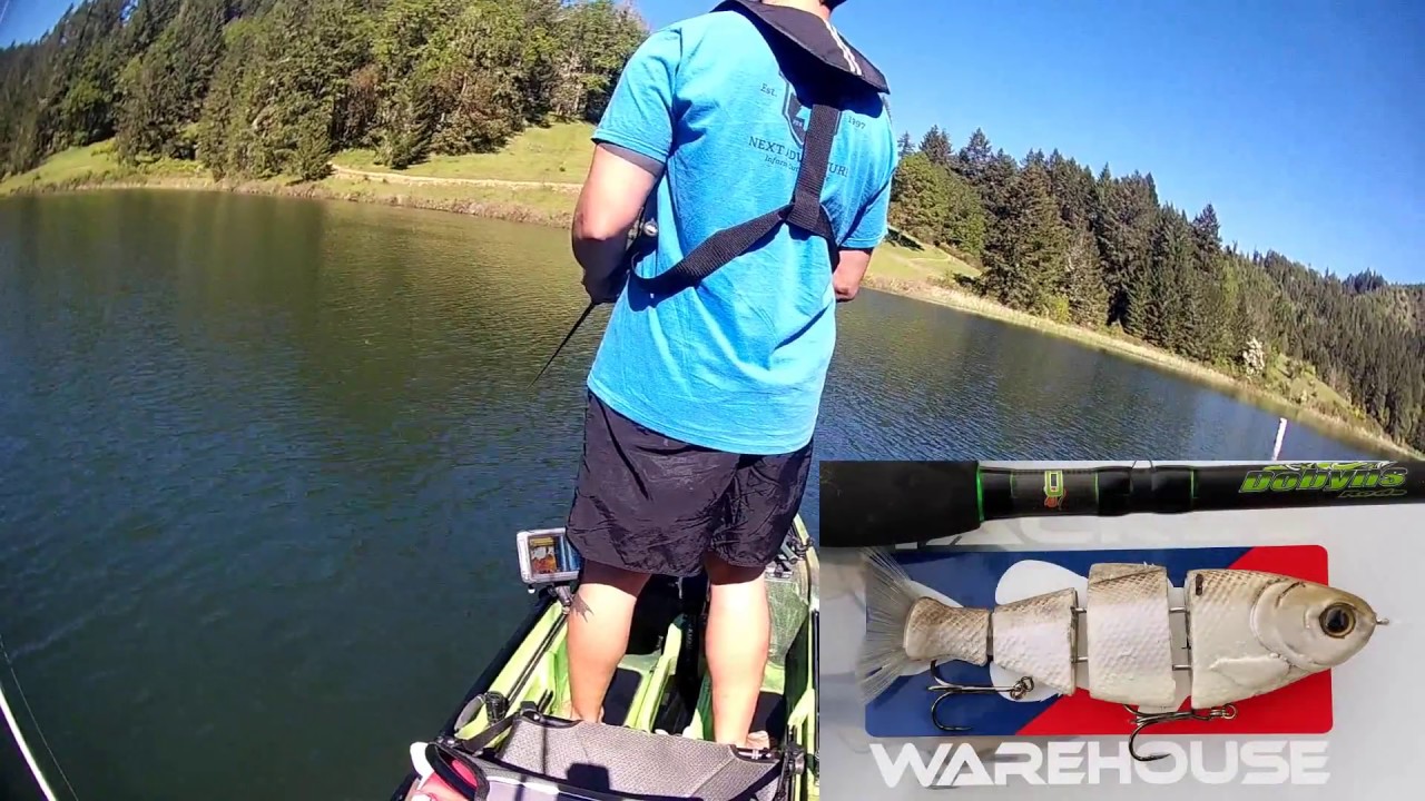 How Realistic Is The Bull Shad - YouTube