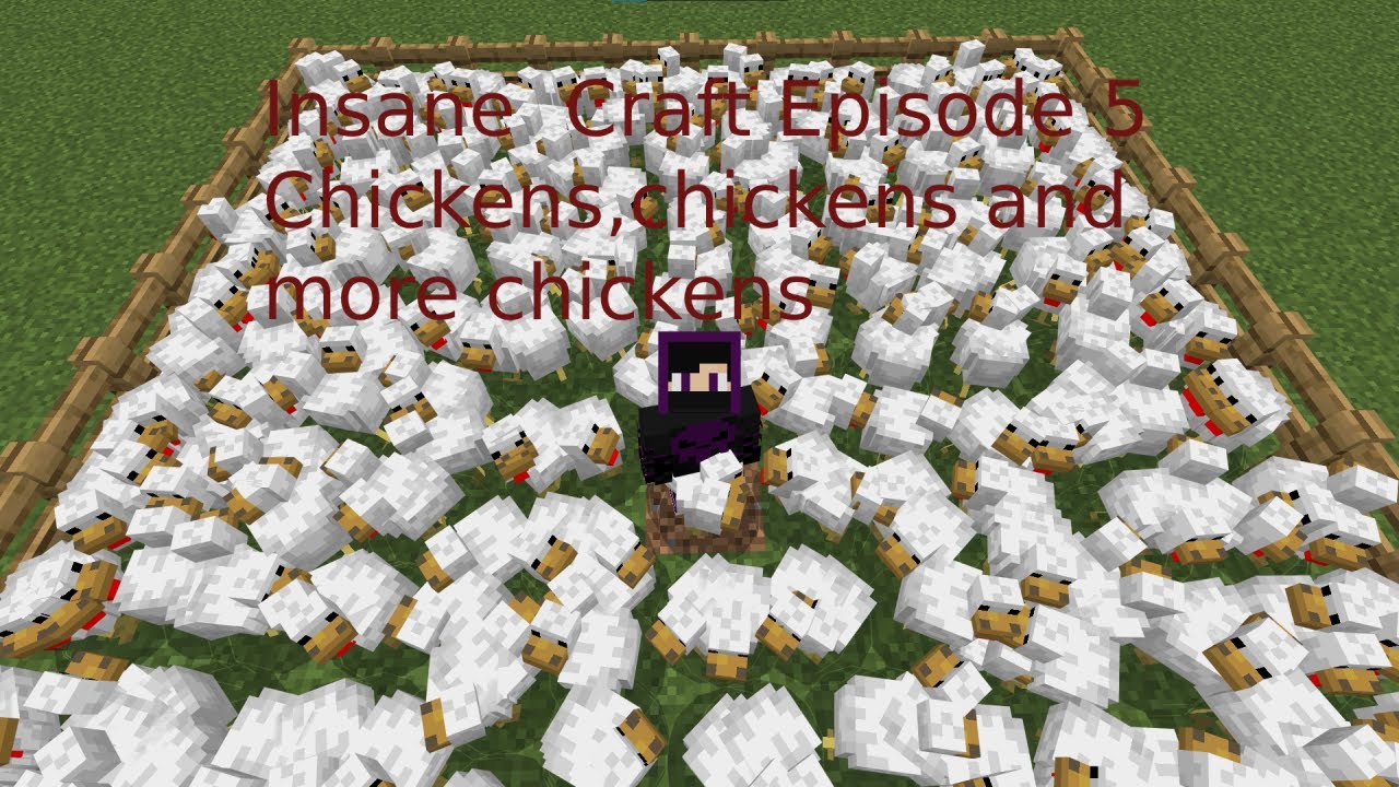 Insane Craft Episode 5 Chickens,Chickens and more Chickens - YouTube