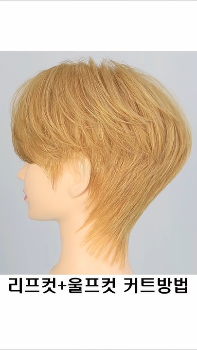 ️리프컷울프컷 자르는 방법 미용기초 울프컷 헤어디자이너 초급디자이너 미용교육 헤어커트교육 커트교육 리프컷 헤어파트너 커트베이직 미용자격증 헤어자격증
