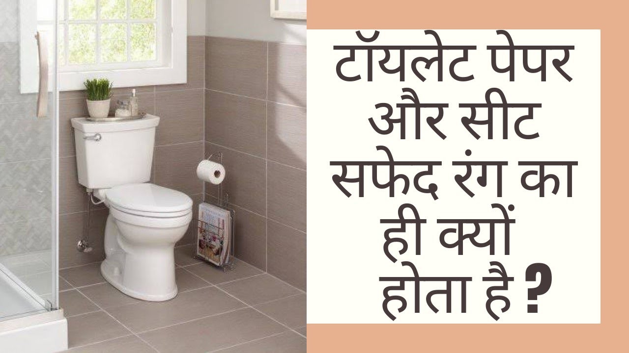 Toilet Seats Amazing Facts In Hindi Tissue Paper Use In Toilet YouTube toilet-seats-amazing-facts-in-hindi-tissue-paper-use-in-toilet-youtube