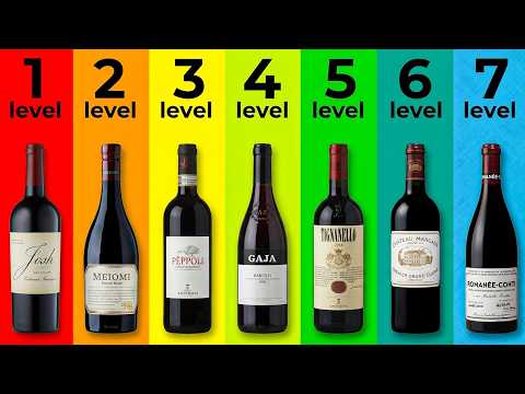 7 Levels of Red Wine