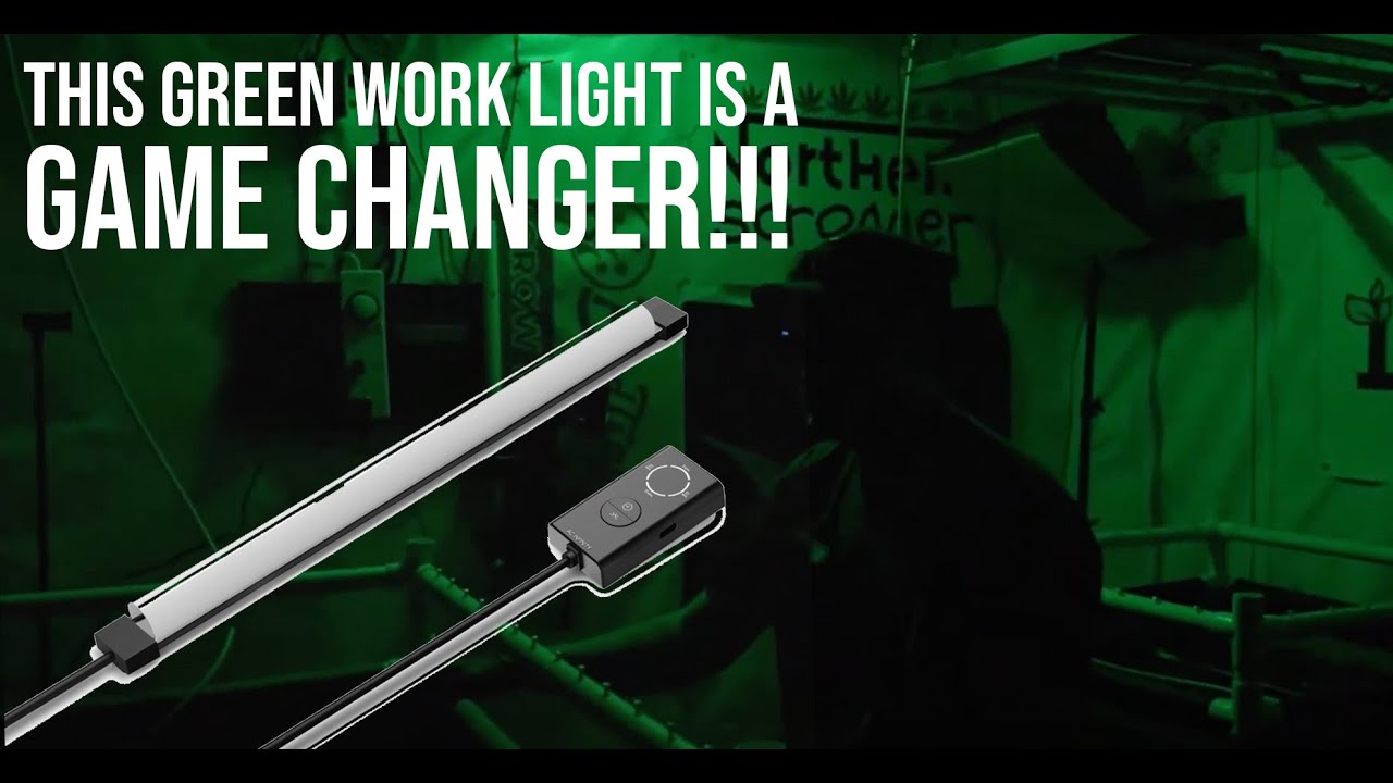 Setting up my IONBEAM GREEN LED WORK LIGHT from AC INfinity - YouTube