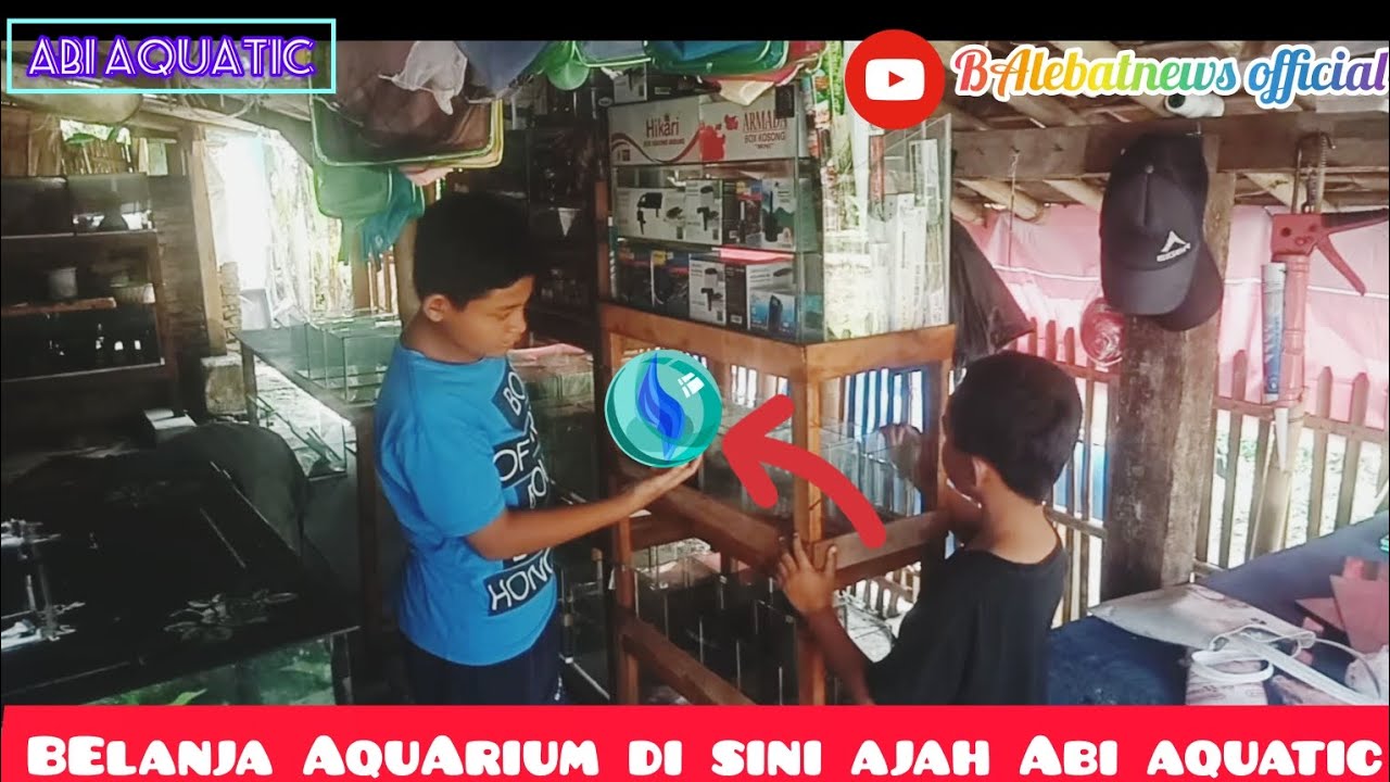 telah hadir ABI AQUATIC jual ikan hias,perlengkapan AQURIUM dll ...