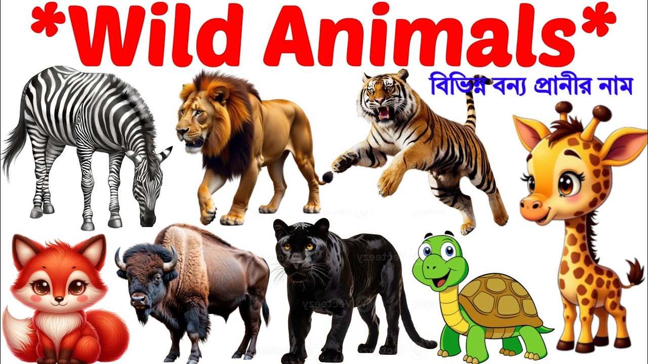 Wild Animals Name | Learn 20 Wild Animals in English | Kids Learning ...