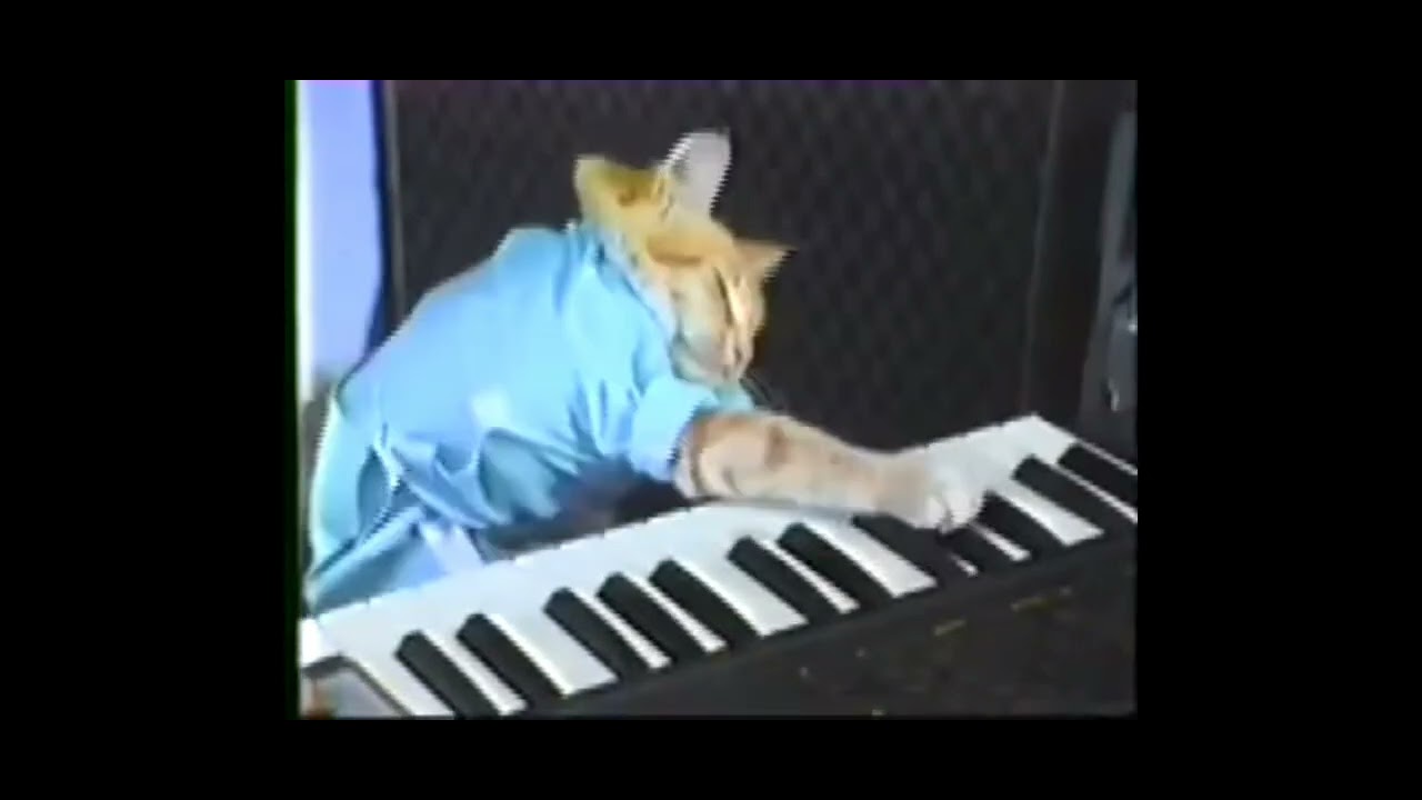 keyboard cat-original video - YouTube