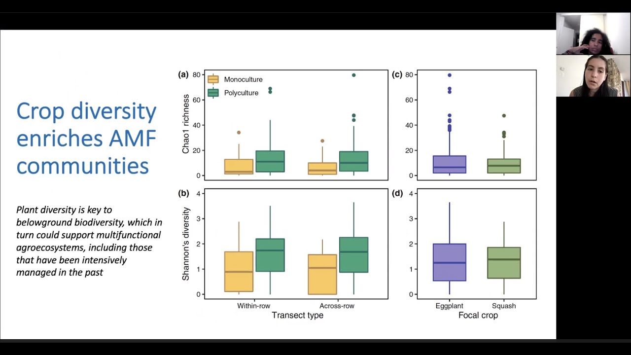 Aidee Guzman on how crop diversity enriches AMF communities - YouTube