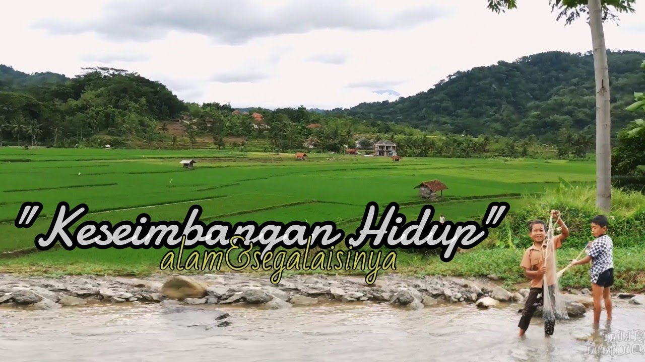 Kehidupan di desa - YouTube