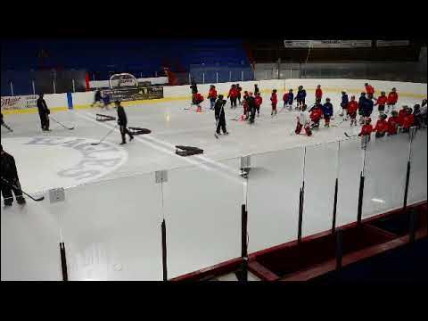 Essential Skills Program - Next Level Hockey Training - YouTube