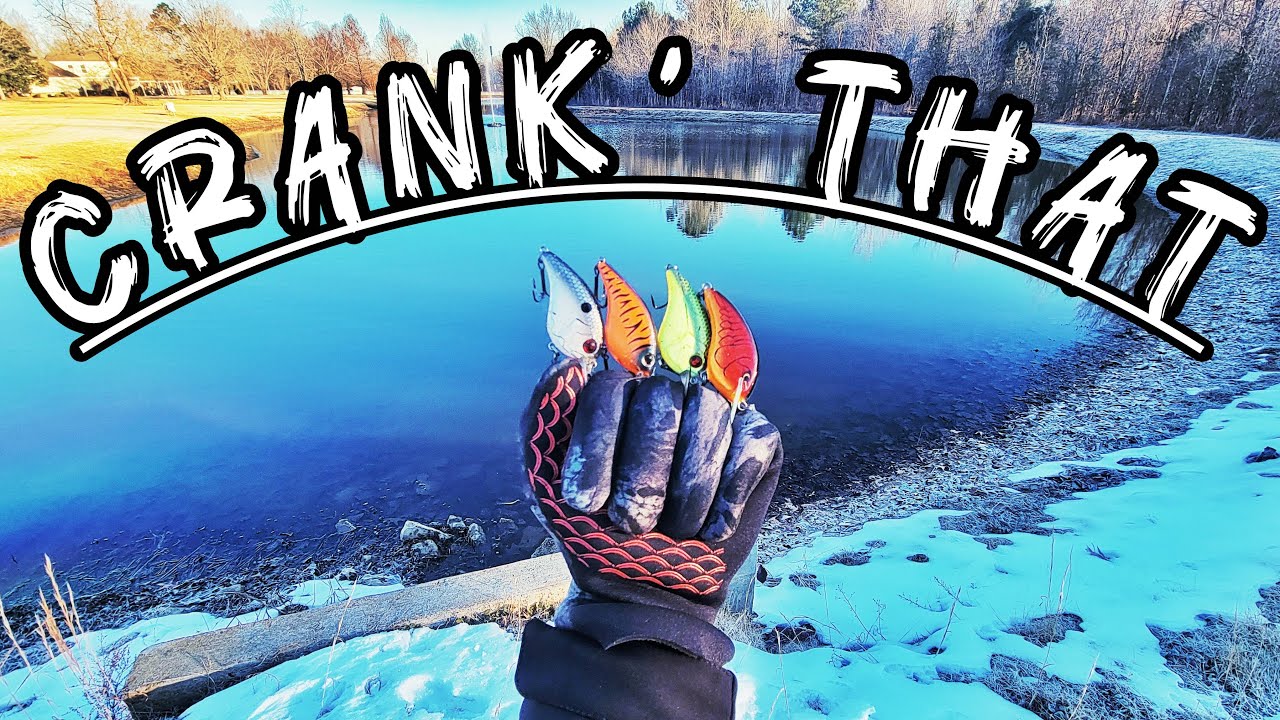 Fishing Therapy pt. 2 | Crank That with CatchEmKing is live! #fishing # ...