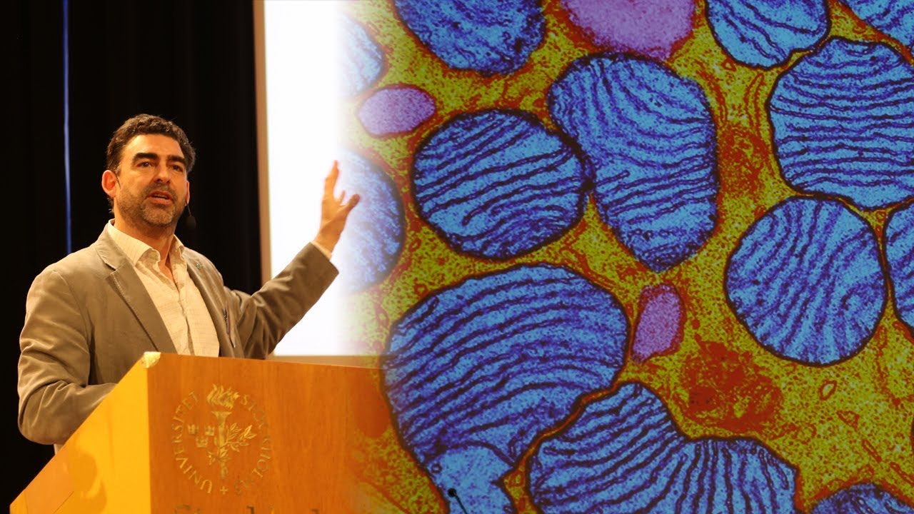 Nick Lane: Why is life the way it is? - YouTube