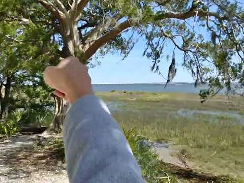 Widgeon Point Preserve. Outside of Beaufort, SC - YouTube