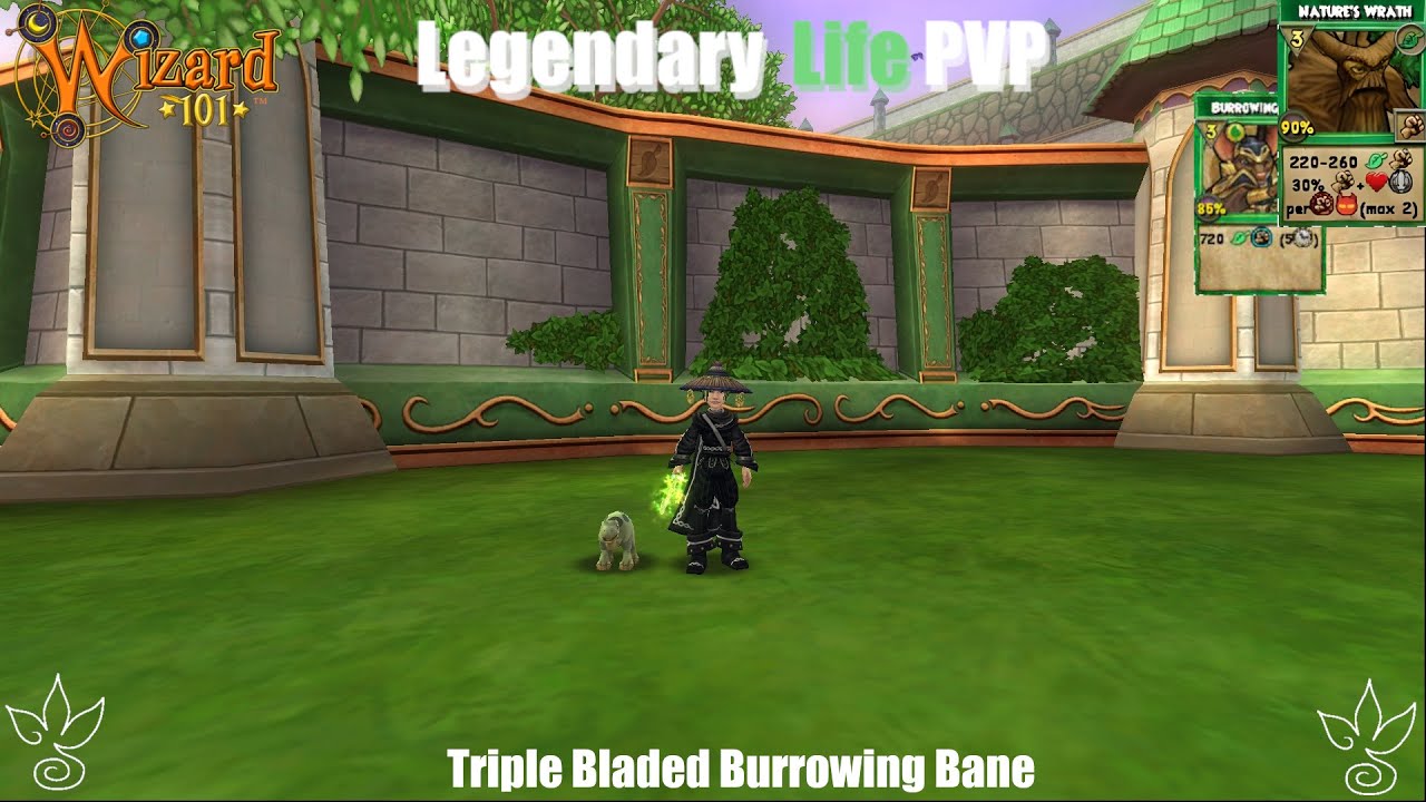 Wizard101 Legendary Life PVP- Bane and Natures Wraith Combo? - YouTube