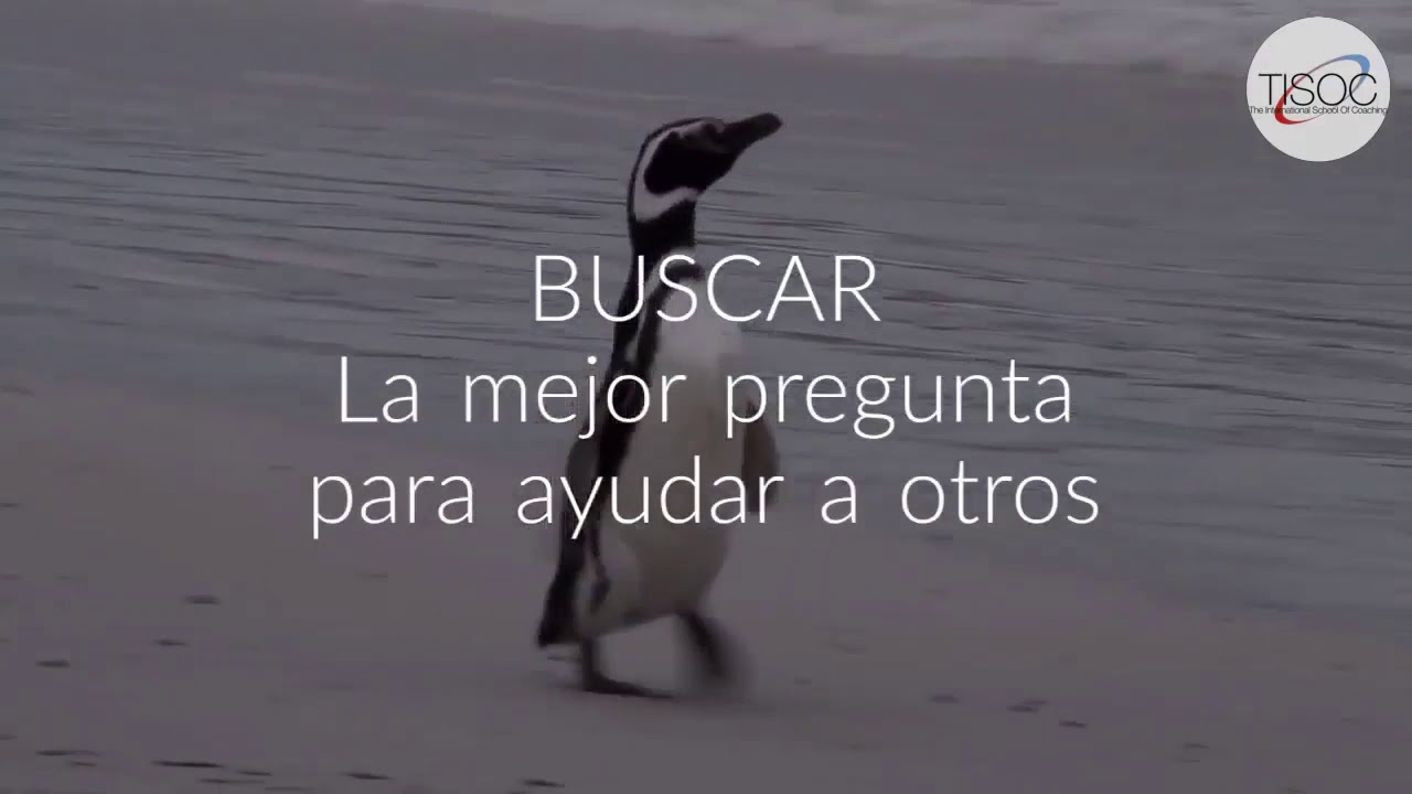 SER COACH ES... TISOC COACHING - YouTube