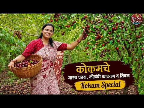 कोकमचे मासा फ्राय, कोळंबी कालवण व तिवळ | Kokum special | Village Cooking | Red Soil Stories