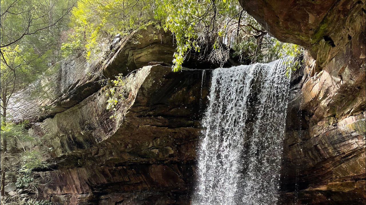 Colditz Cove, TN - hiking to Northrup falls - YouTube