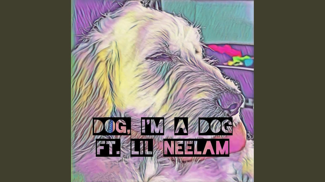 Dog, I'm A Dog (feat. Ryan The Metaphor & Lil Neelam) - YouTube