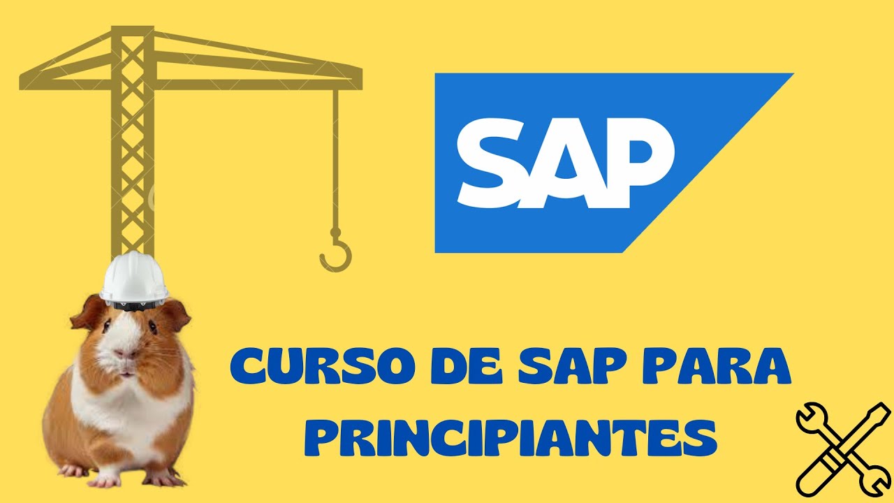 3. Como se accede a SAP - CURSO DE SAP PARA PRINCIPIANTES - YouTube