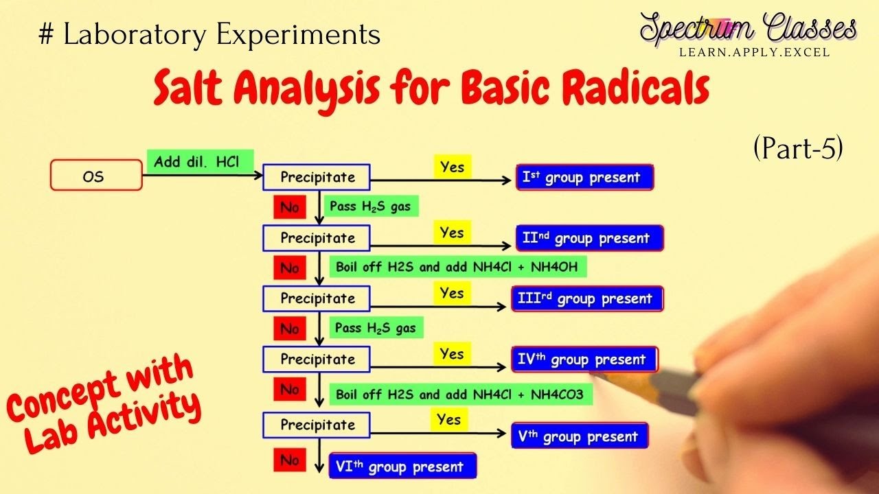 Wet Test For Basic Radicals Original Solution Lab Activity 12 B Sc wet-test-for-basic-radicals-original-solution-lab-activity-12-b-sc