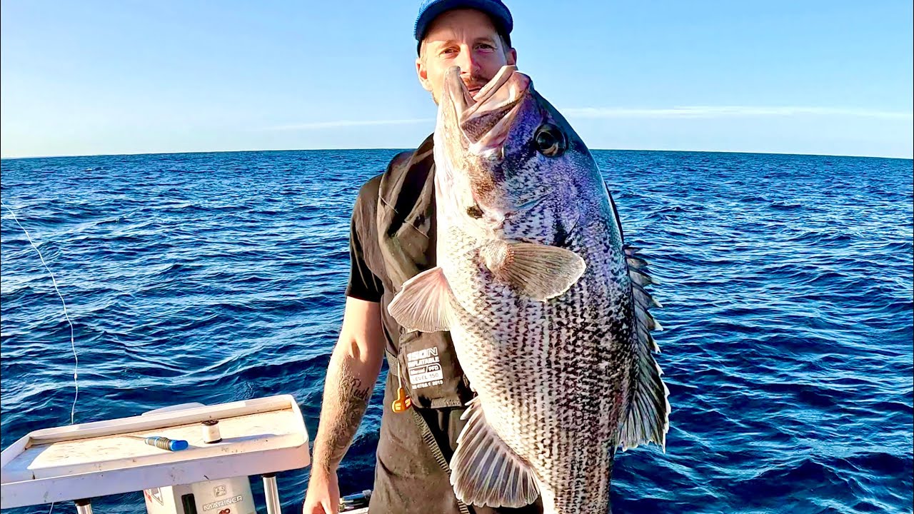 Where Are The Fish Biting In Perth Australia - Infoupdate.org