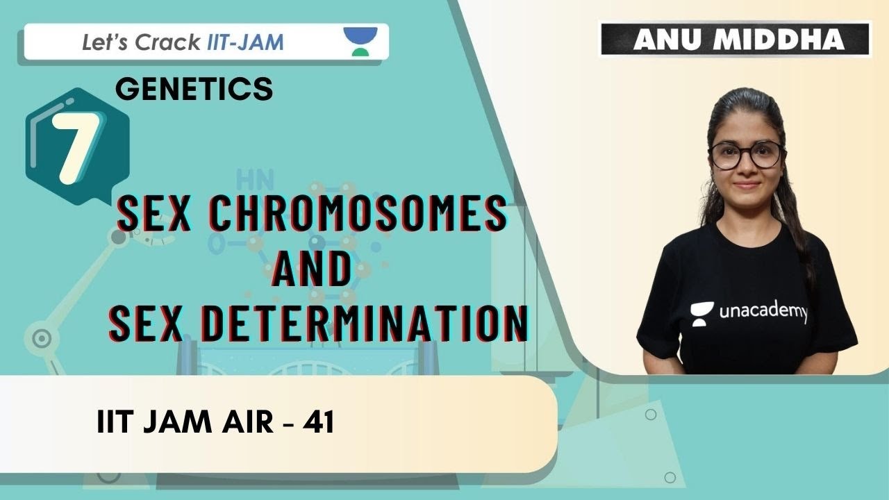 Genetics Sex Chromosomes And Sex Determination Biotechnology For