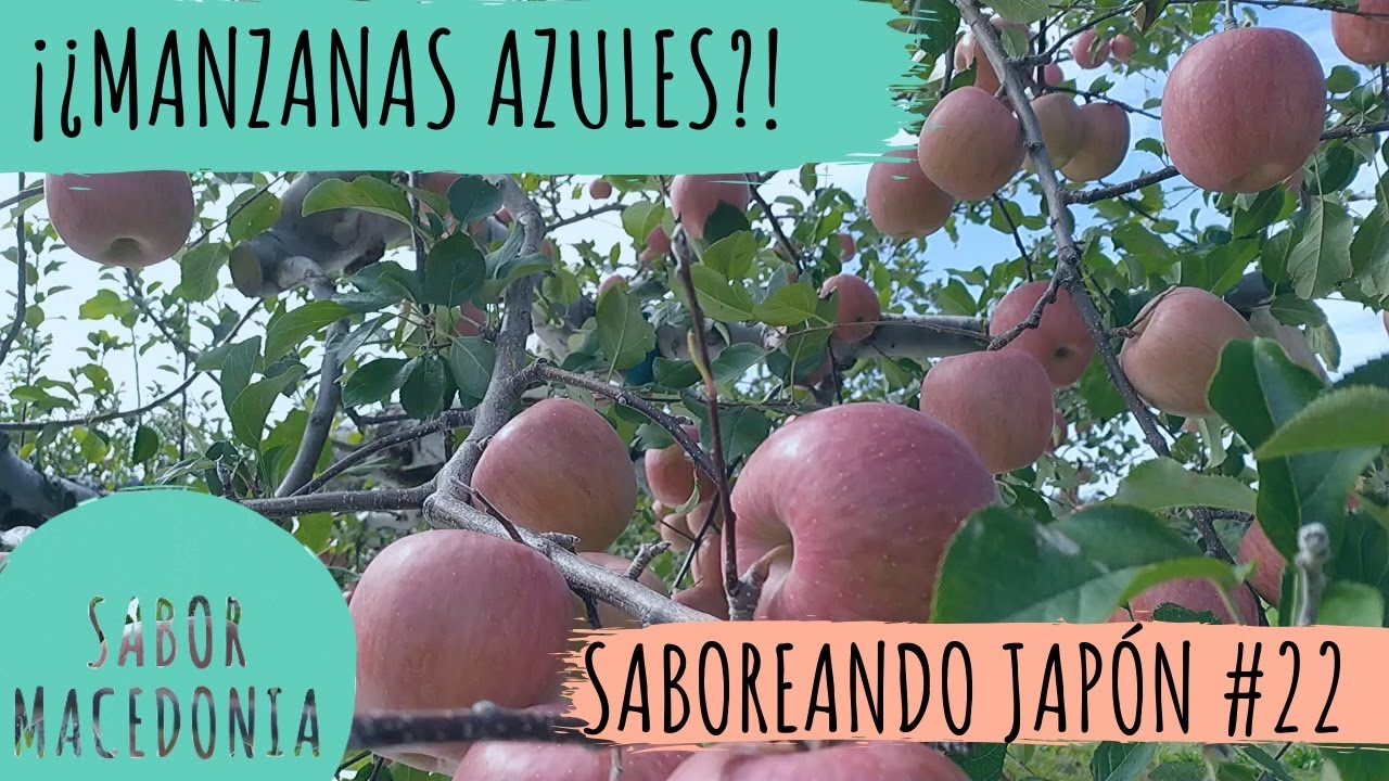 🇯🇵 Cap.22: ¡¿Manzanas azules?! | Saboreando Japón - YouTube
