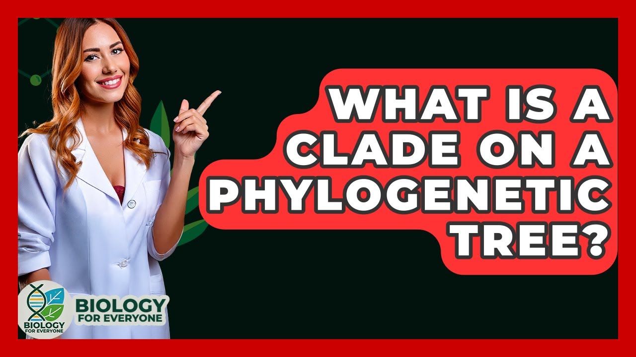 What Is A Clade On A Phylogenetic Tree? - Biology For Everyone - YouTube