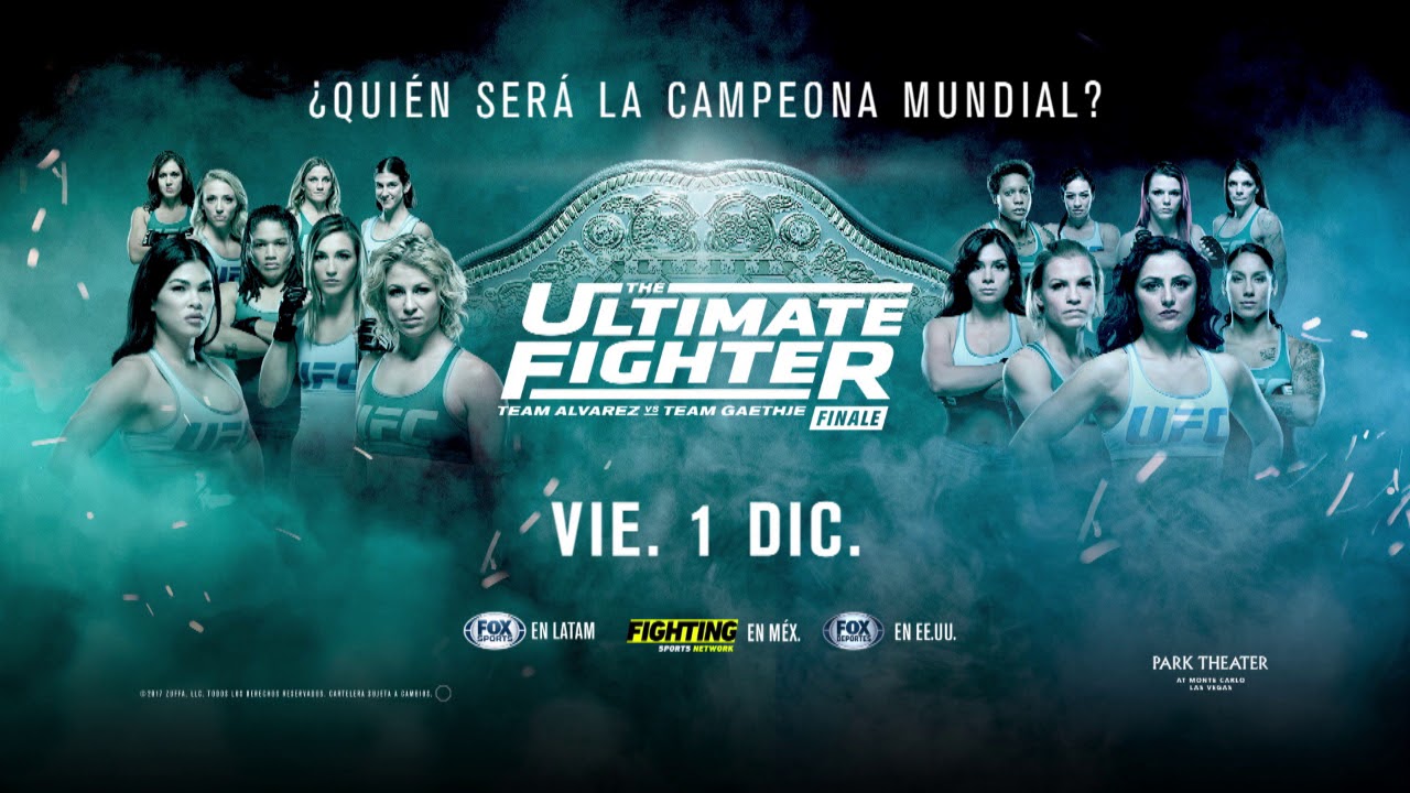 The Ultimate Fighter 26 Finale - YouTube