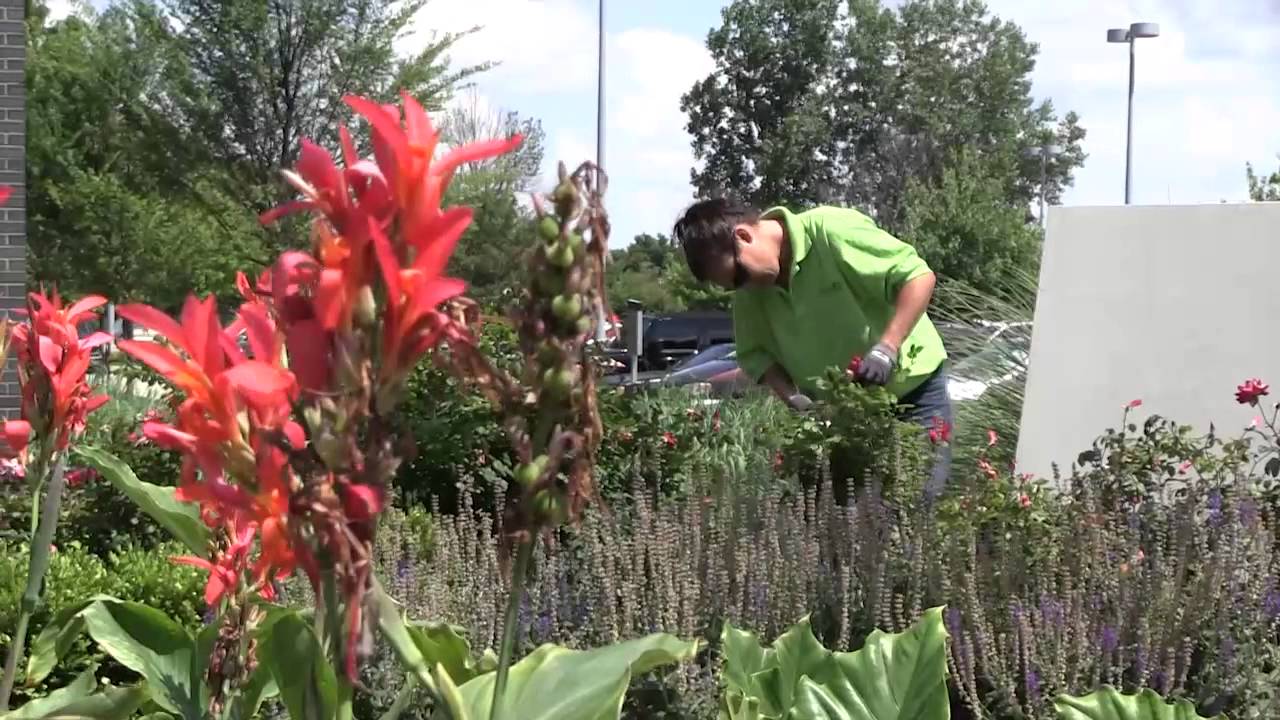 History of Engledow - CULTIVATING A GREAT TEAM - YouTube
