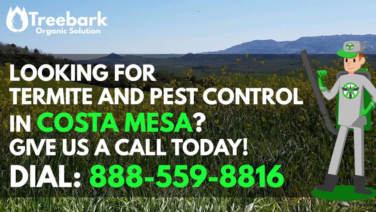 Costa Mesa Termite Control and Pest Control Company - YouTube